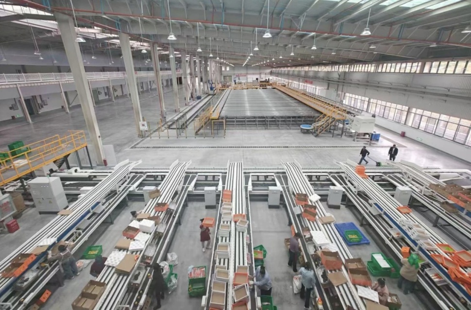 沪滇协作串珠成链，宁蒗苹果全链发力育出致富“金果果” - 丽江网